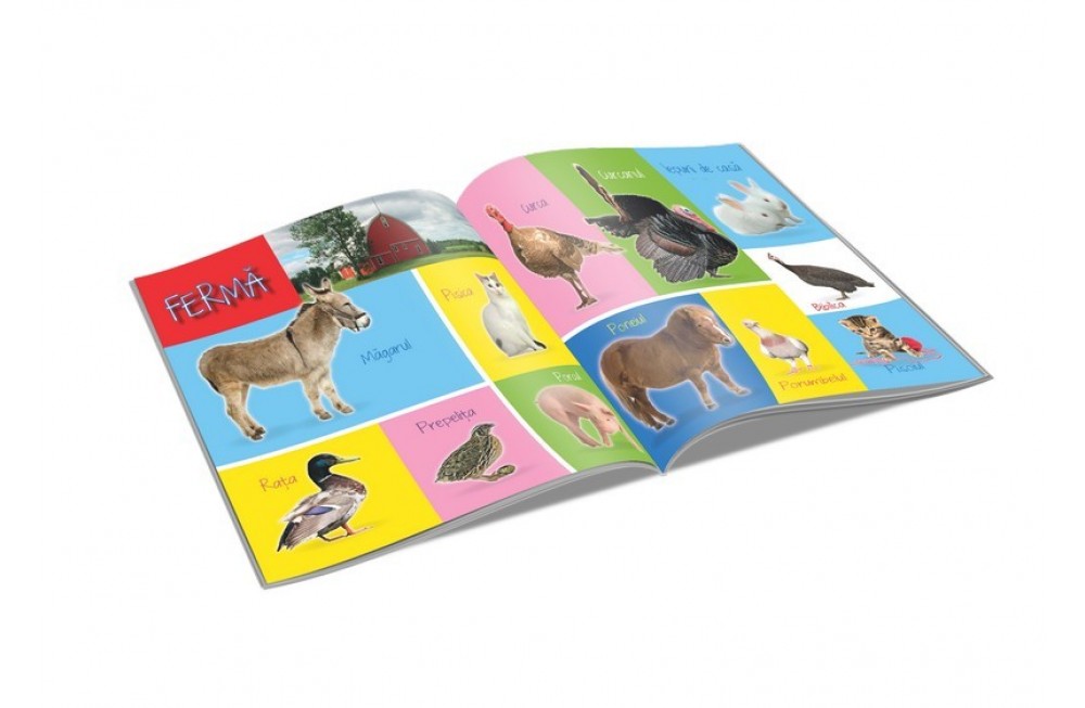 Primele 100 de animale carte+cd ed. Gama