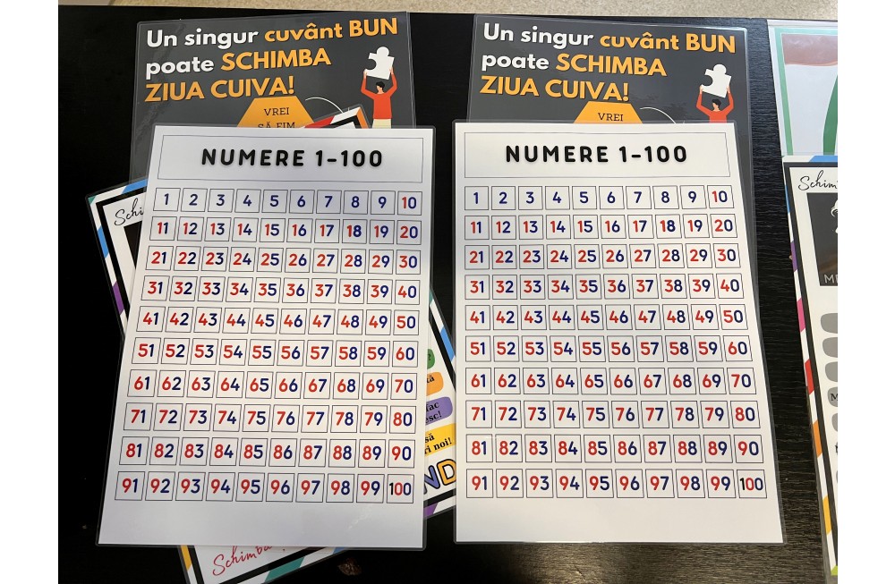 Planșă numere 1-100, cod:PM050